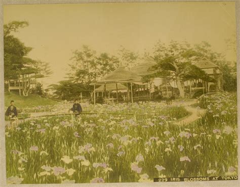 Collection Search Yokohama Museum Of Art