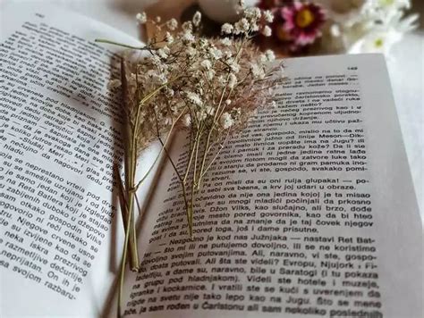 Contoh Teks Ulasan Novel Beserta Penjelasan Dan Strukturnya
