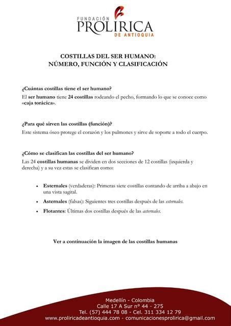 Costillas del ser humano número función y clasific Medicina y