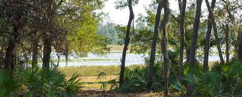 Florida Land For Sale 38304 Listings Land And Farm