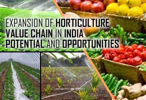 Agriculture Ministry To Host National Level Horticulture Value Chain