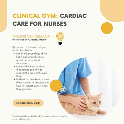 💡 To Revise And Review The Nursing Cvs Knowledge Hub