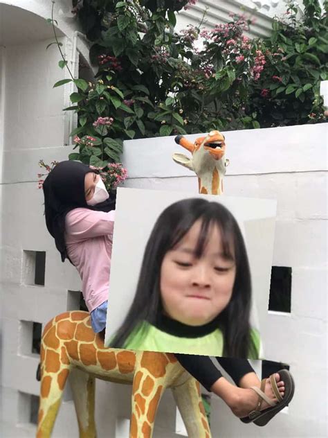 Naik Jerapah High Chair Decor Chair