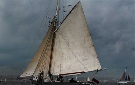 The Cutter ‘speedwell O N 65195