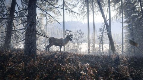 The Hunter Call Of The Wild 2019 Edition Playstation 4