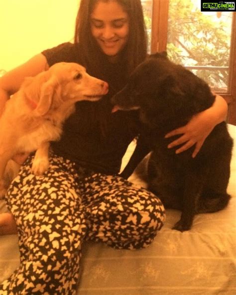 Divya Spandana Instagram You Live On My Sweet Girl Brandy Youre