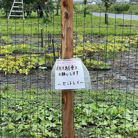 青森県田舎館村にある洋食堂セントレイのオムハヤシ