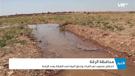 انخفاض منسوب نهر الفرات يهدد الزراعة في الرقة Youtube
