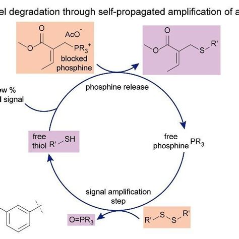 Blocked Phosphine Was Applied In A Crosslinked Disulfide Based Gel Download Scientific Diagram