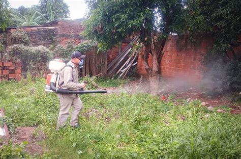 Ni el frío bajó la población de Aedes y la Municipalidad de Posadas hace fumigaciones