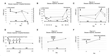 Comparison Of Cell Free DNA CfDNA Concentration According To