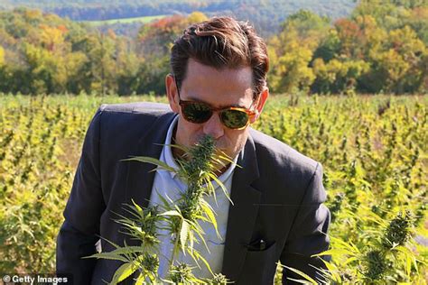Germany Announces Plan To Legalise Cannabis For Recreational Use