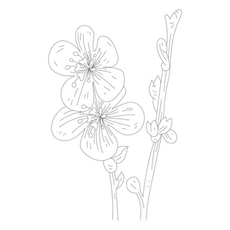 Diseño Png Y Svg De Línea De Tallo De Pétalo De Estambre De Flor Para
