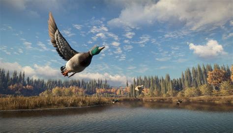 Rell Counters Best Counter Picks Vs Rell