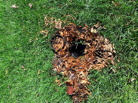 Buried Downspout Drain Cleaning — Done Gutter
