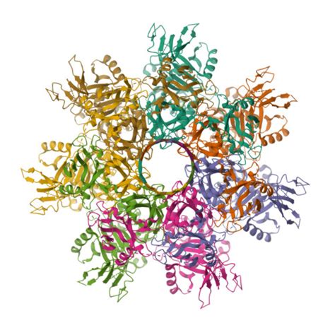 Rcsb Pdb 8ekk Clostridioides Difficile Binary Toxin Translocase Cdtb