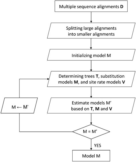 An Approximate Maximum Likelihood Procedure To Estimate An Amino Acid