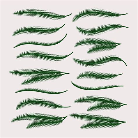 Premium Vector Set Of Hand Drawn Palm Tree Leaves Vectorfor Tropical