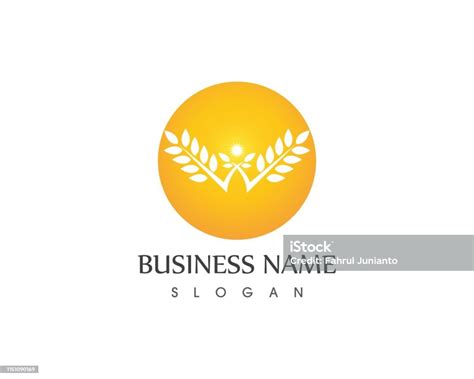 Ilustrasi Vektor Logo Pertanian Gandum Padi Ilustrasi Stok Unduh