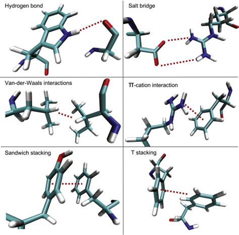 Protein Folding Creative Biostructure