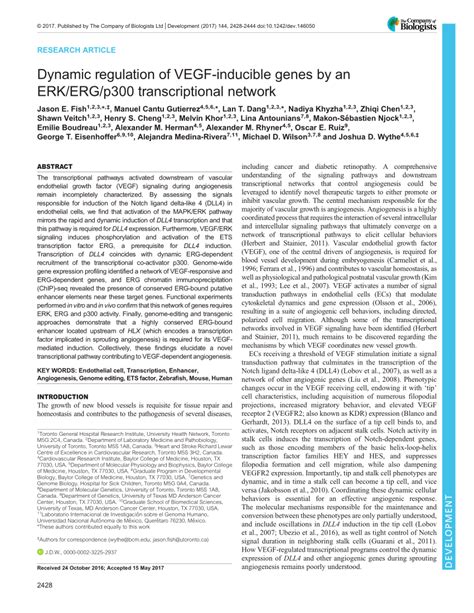 Pdf Dynamic Regulation Of Vegf Inducible Genes By An Erk Erg P300