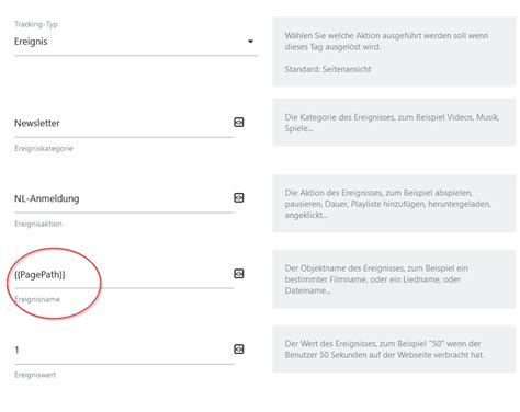 Variablen Im Matomo Tag Manager Verwenden Matomo Beratung Udo Trautmann