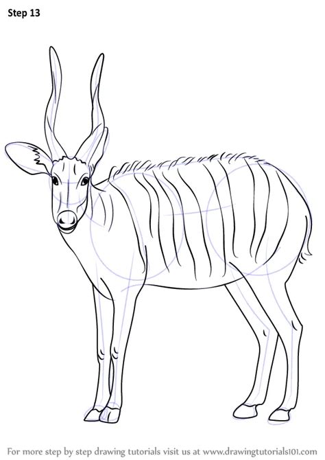 Bongos Coloring Pages