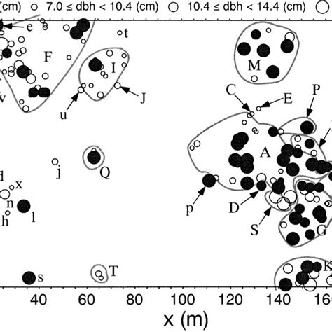 Size Distributions Of Prunus Ssiori Ramets For A Each Genet And B The