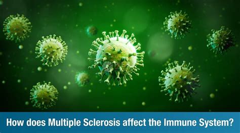 How Does Multiple Sclerosis Affect The Immune System Plexus