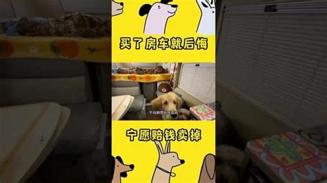 为什么很多人买了房车就后悔，宁愿赔钱也要卖掉？这个视频告诉你shorts Shorts 小七的房车生活 Gan Jing