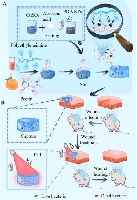 Architecting Polyelectrolyte Hydrogels With Cu Assisted Polydopamine Nanoparticles For