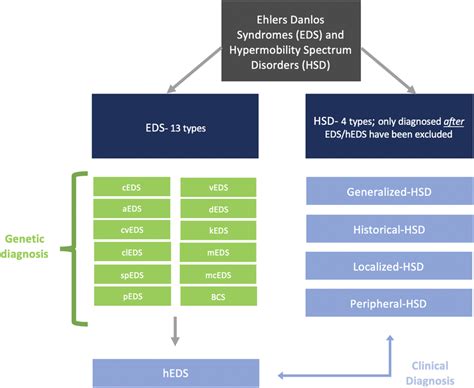 Eds And Hsd Types And Diagnosis Download Scientific Diagram
