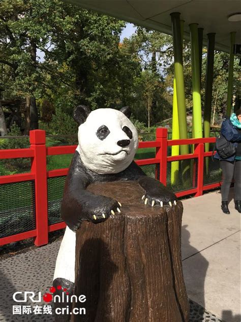 德國柏林動物園熊貓館國慶日迎參觀高峰 組圖 每日頭條