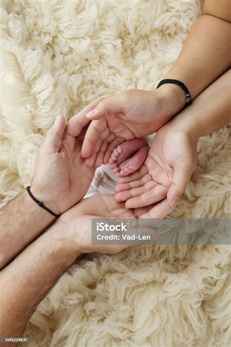 부모의 손바닥에 신생아의 발 아버지와 어머니의 손바닥은 하얀 Flokati 담요에 갓 태어난 아기의 발을 잡고 있습니다 아이의