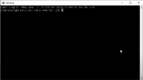 Terminal Emulator Commands Bot Store