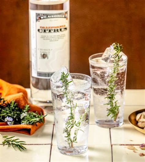 Best Vodka For A Cosmopolitan Top 5 Choices Drinkstack