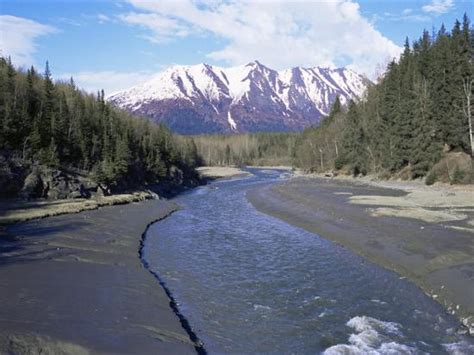 Bird Creek Along The Seward Highway Girdwood Alaska Usa