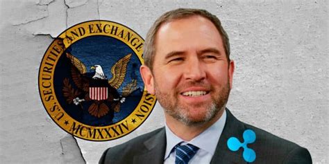Ceo De Ripple Sobre Xrp Y La Sec Ganamos Ellos Perdieron