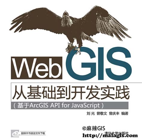 Web GIS从基础到开发实践基于ArcGIS API FOR JavaScript 麻辣GIS