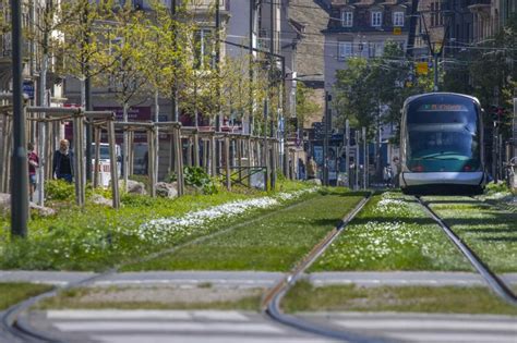 Infrastructures vertes et végétalisation du bâti Exavert Réseau