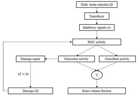Schematic Representation Of The Proposed Br Algorithm Download