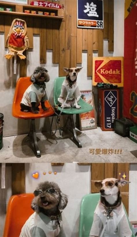 這種時裝不知道給不給過來亂ㄉxd
