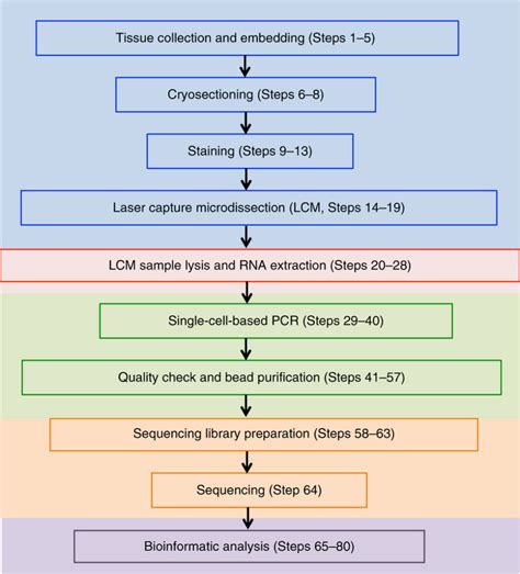 Geo Seq Spatial Transcriptomic Analysis Of Cryosectioned Tissue