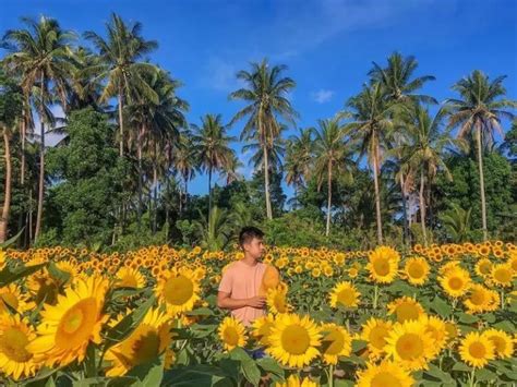 Every Albay Tourist Spot That You Need To Explore On Your Next Trip