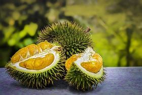 Durian (owoc): co to jest? · ‎jakie ma właściwości? - Vitapedia