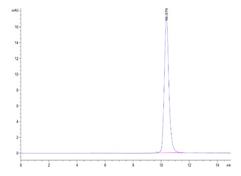 Cynomolgus Rhesus Macaque BCMA TNFRSF17 Protein BCM CM117 KACTUS
