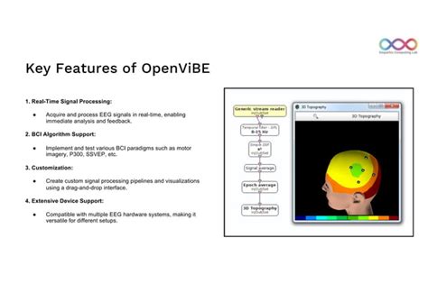 Ive 2024 Short Course Lecture12 Openvibe Tutorial Pdf