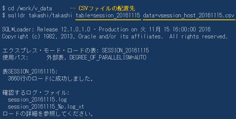 Oracle Databaseのパフォーマンスダウン発生に備えたV ビューの定期取得と調査方法 アシスト