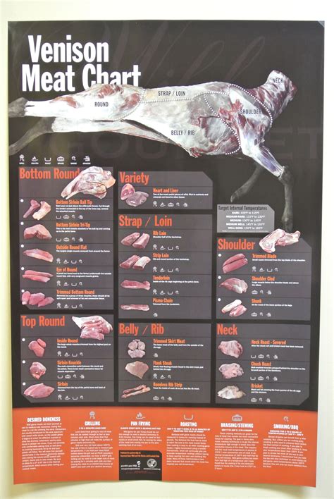 Deer Meat Cuts Chart Minimalist Chart Design