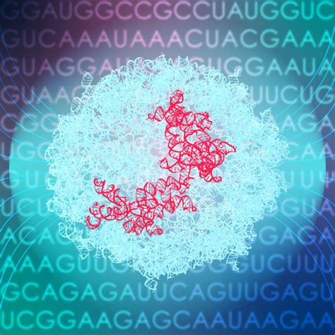 Clone Of Stanford Rna 3d Modeling Competition Data Kaggle